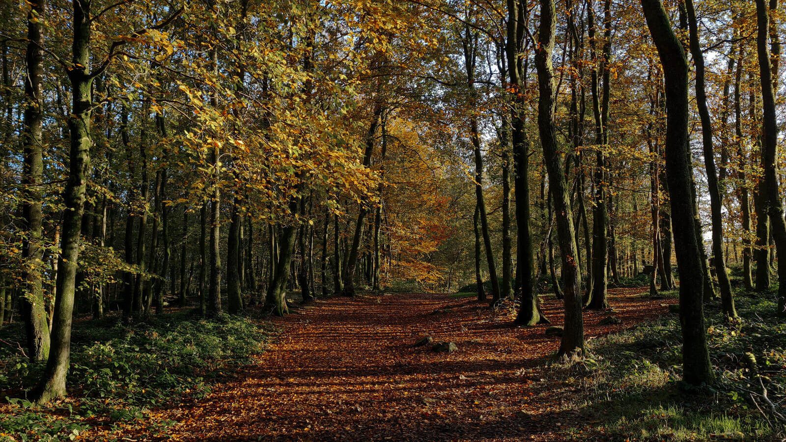 5 tips for enjoying autumn - Val d'Ardenne Tourisme