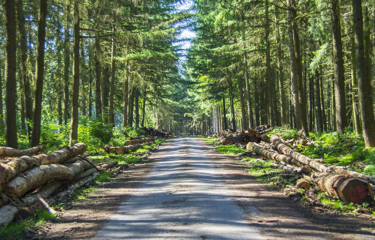 5 tips for enjoying autumn - Val d'Ardenne Tourisme