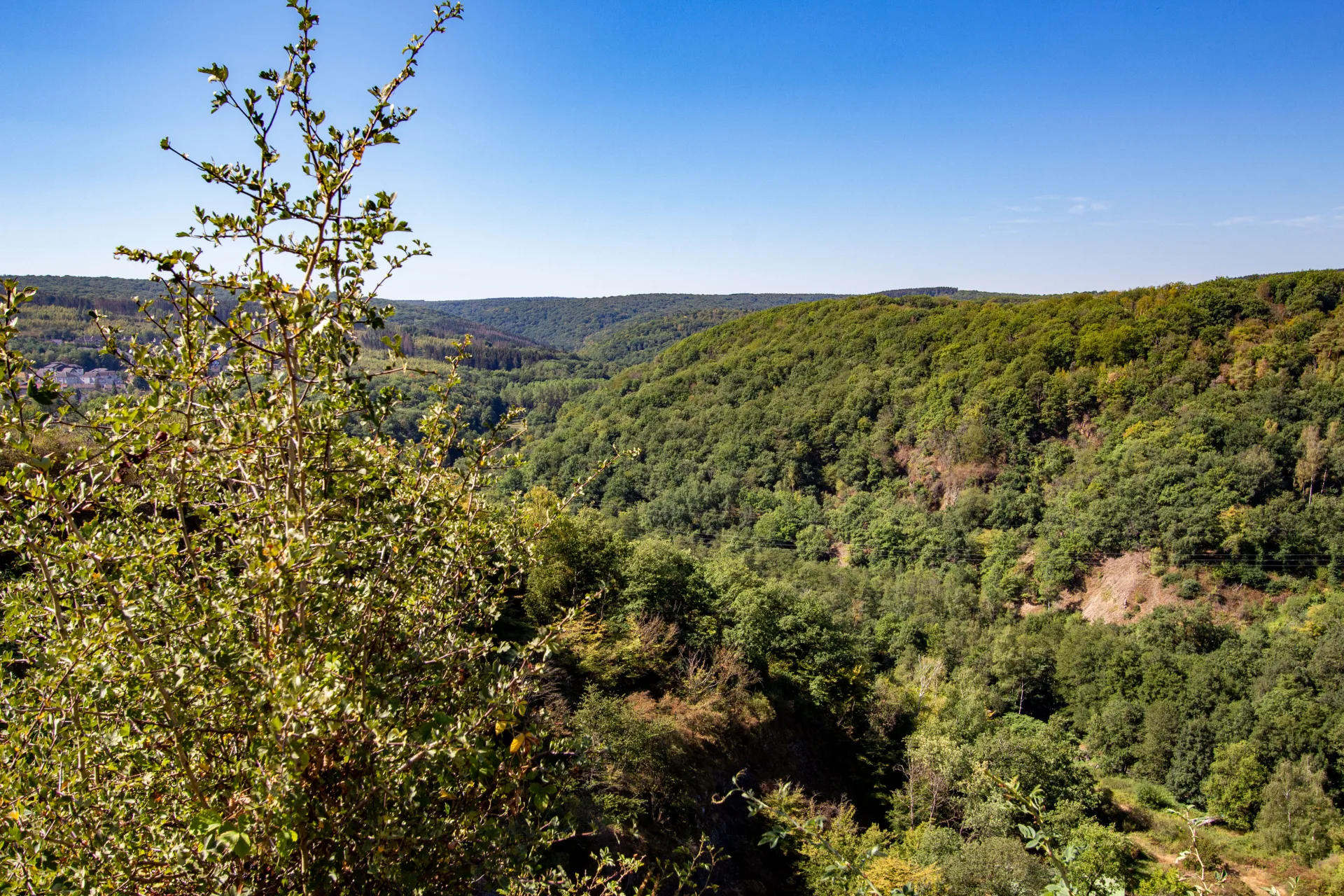 Que faire en Val d'Ardenne pendant la saison estivale ? - Val d'Ardenne ...