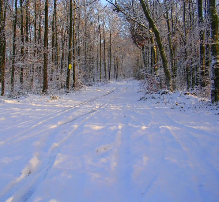 Val d'Ardenne Tourisme : Découvrez les Ardennes Françaises